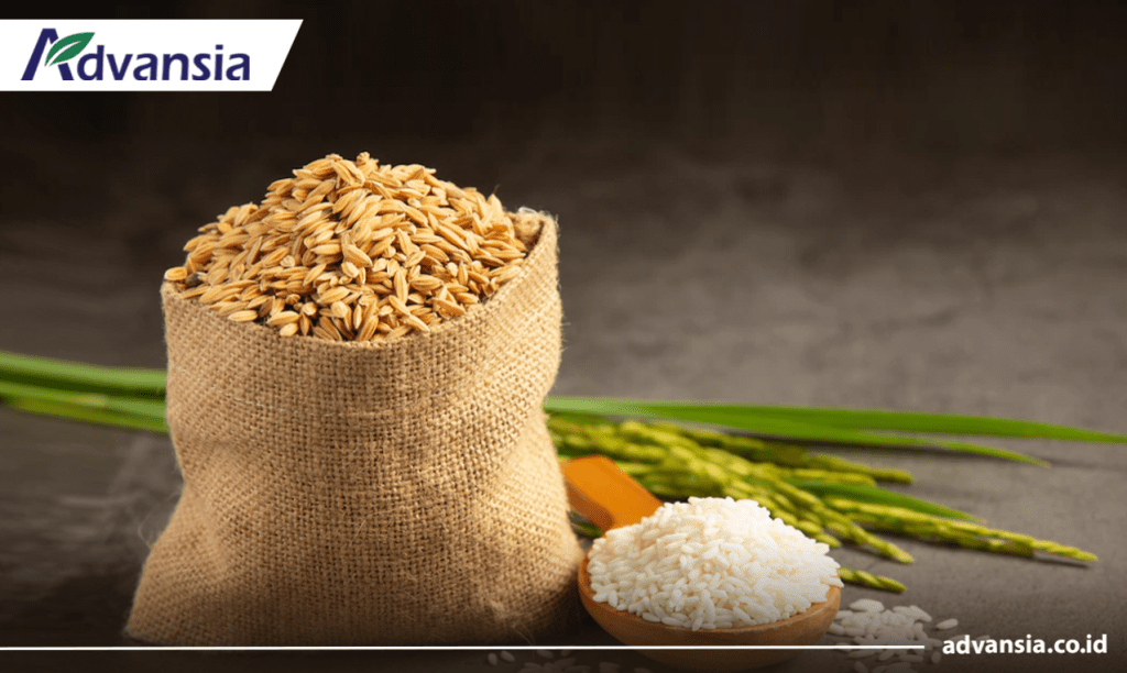 Berhasil meningkatkan ketahanan pangan, Indonesia terima penghargaan ...